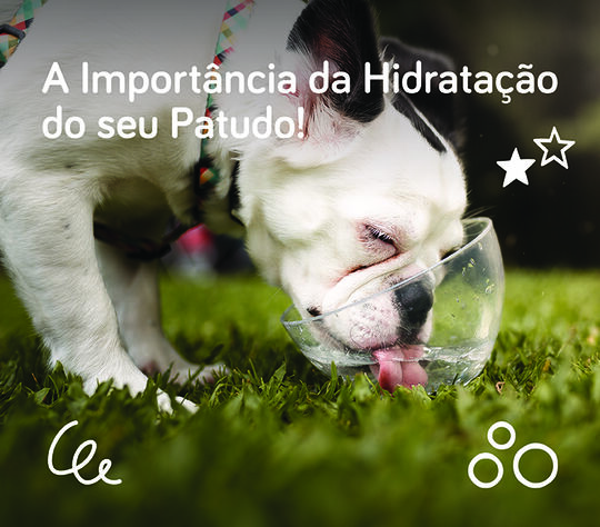 ZU | Loja de Animais Online